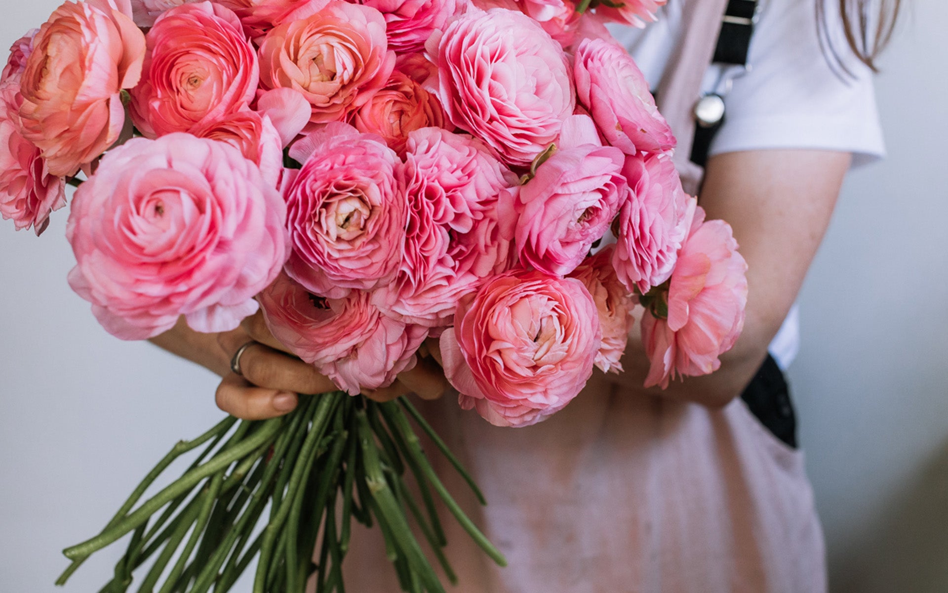 Fresh Flowers & Plants in Wagga Wagga | Little Triffids Flowers