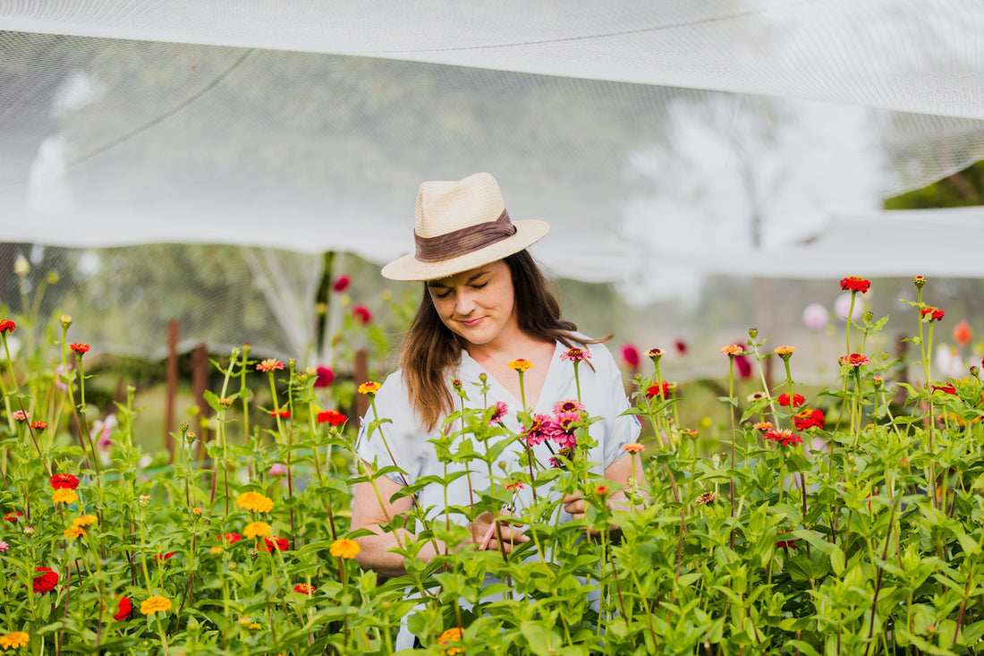 About Little Triffids Flowers | Wagga Wagga's Micro Flower Farm & Boutique