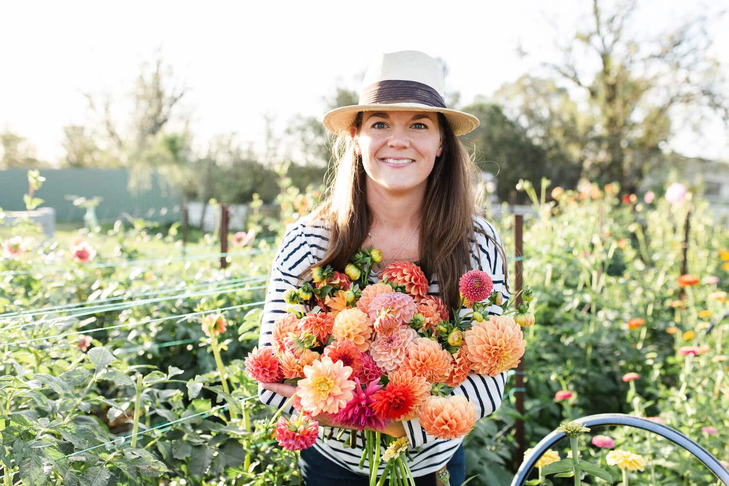 About Little Triffids Flowers | Wagga Wagga's Micro Flower Farm & Boutique